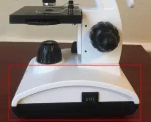 16 Parts of a Compound Microscope: Diagrams and Video – Microscope Clarity