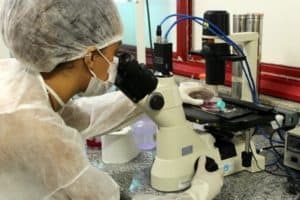 What is an Inverted Microscope – Microscope Clarity