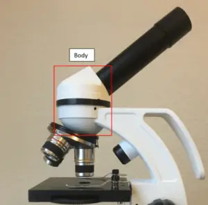 16 Parts of a Compound Microscope: Diagrams and Video – Microscope Clarity
