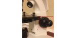 Microscope Coarse Adjustment and Fine Adjustment: Explained ...