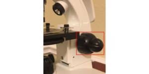 Microscope Coarse Adjustment and Fine Adjustment: Explained ...