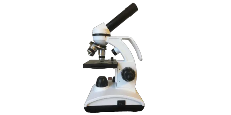What is a Compound Microscope? – Microscope Clarity