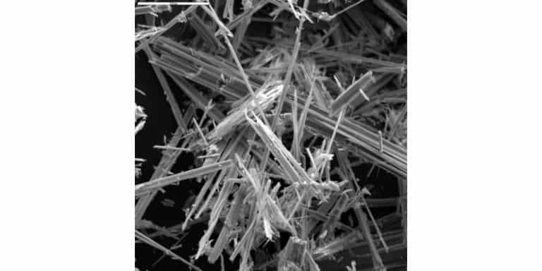 Electron Microscopes Explained: From Physics to Images – Microscope Clarity