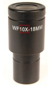 Microscope Magnification: Explained – Microscope Clarity