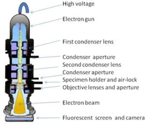 The First Microscope to Modern Microscopes: Evolution and History of ...