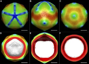 The First Microscope to Modern Microscopes: Evolution and History of ...