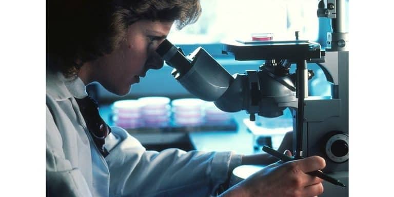 What is an Inverted Microscope – Microscope Clarity