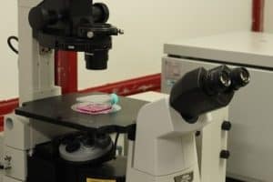 Different Types of Microscopes: A Complete Breakdown – Microscope Clarity