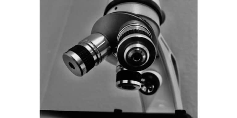 Microscope Magnification: Explained – Microscope Clarity
