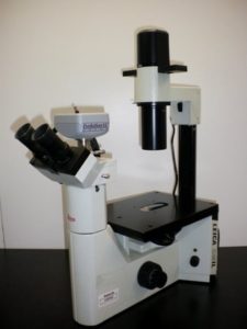 What is an Inverted Microscope – Microscope Clarity
