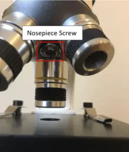 16 Parts of a Compound Microscope: Diagrams and Video – Microscope Clarity