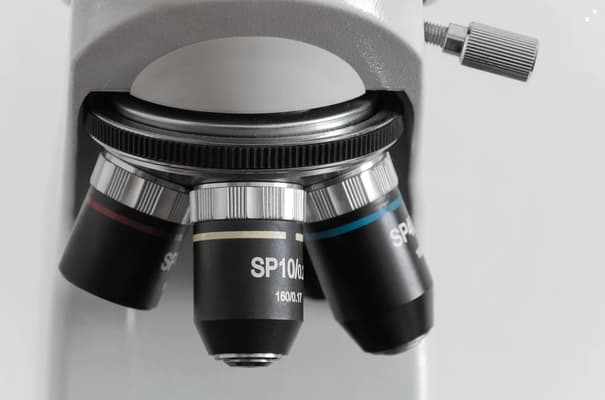 Microscope Objective: The Eyes of the Microscope – Microscope Clarity