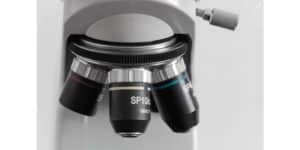 Microscope Objective: The Eyes of the Microscope – Microscope Clarity