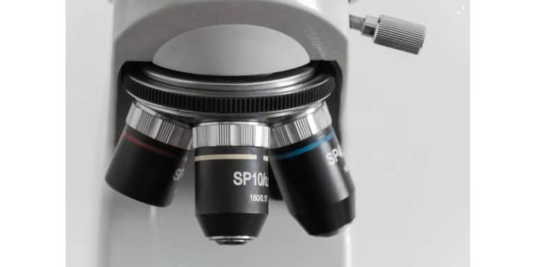 Microscope Objective: The Eyes of the Microscope – Microscope Clarity