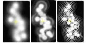 What is Microscope Resolution? – Microscope Clarity