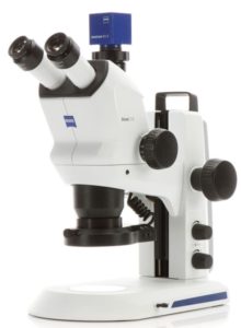 Different Types of Microscopes: A Complete Breakdown – Microscope Clarity