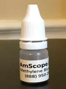 Microscope Slide Staining: What Is It and How to Do It – Microscope Clarity