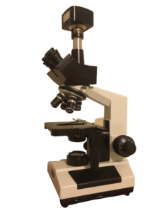 Different Types of Microscopes: A Complete Breakdown – Microscope Clarity