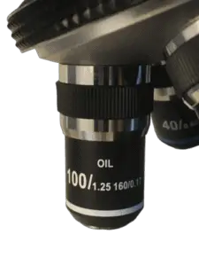 Microscope Immersion Oil: A Complete Guide – Microscope Clarity
