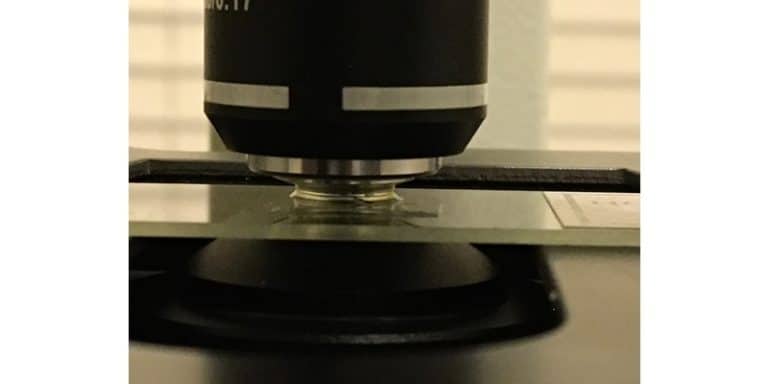 Microscope Immersion Oil: A Complete Guide – Microscope Clarity