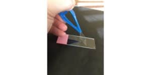 Wet Mount Slide: A Complete Guide – Microscope Clarity