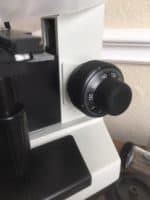 How to Focus a Microscope – Microscope Clarity