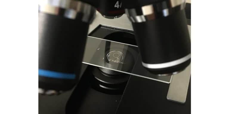 How to Measure the Size of a Specimen Under the Microscope – Microscope ...