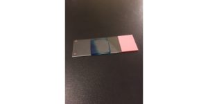 Microscope Slide Staining: What Is It and How to Do It – Microscope Clarity