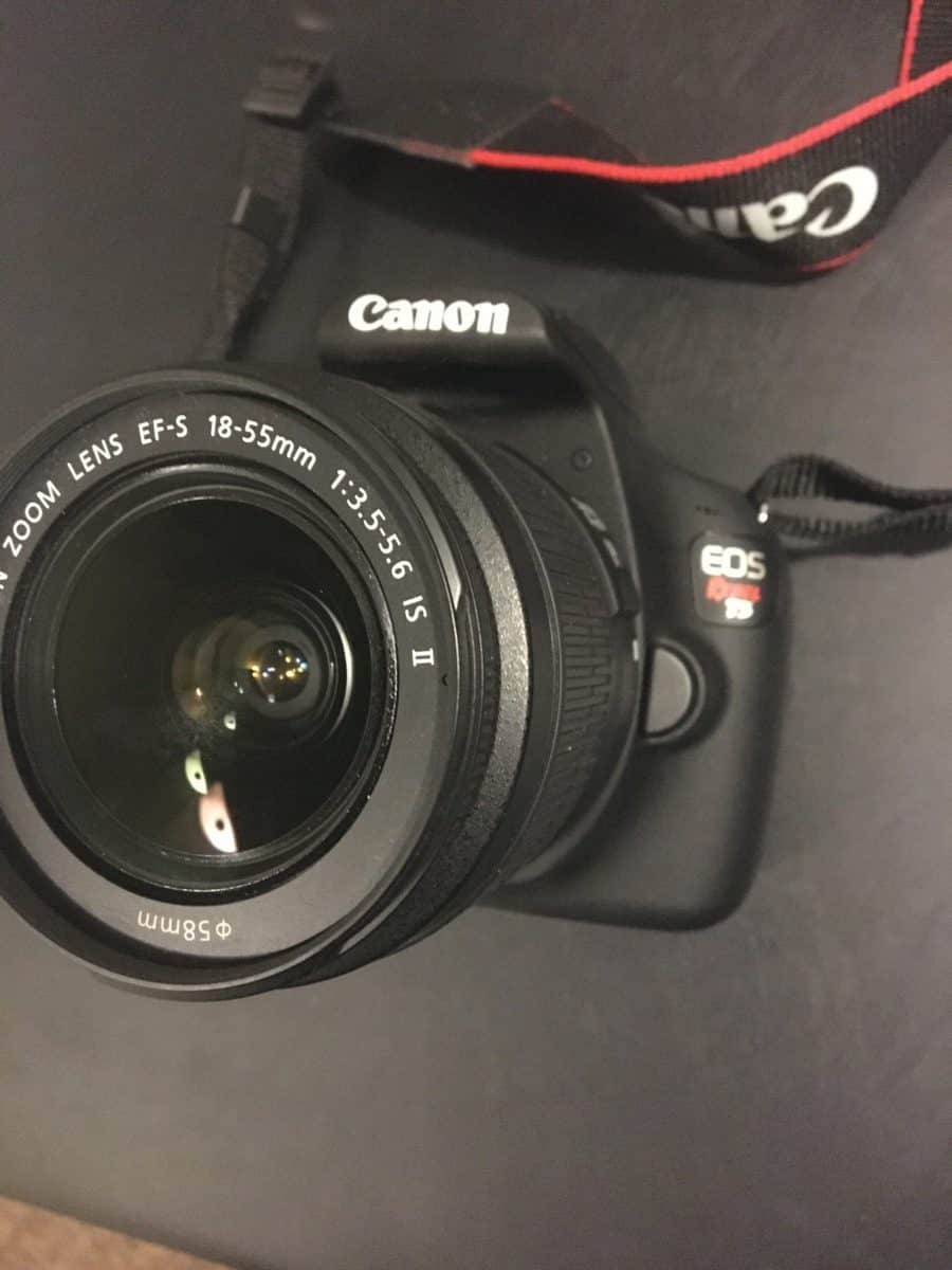 Microscope Camera: Setup and Tips – Microscope Clarity