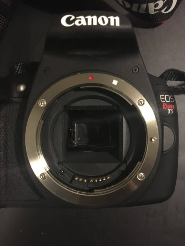 Microscope Camera: Setup and Tips – Microscope Clarity