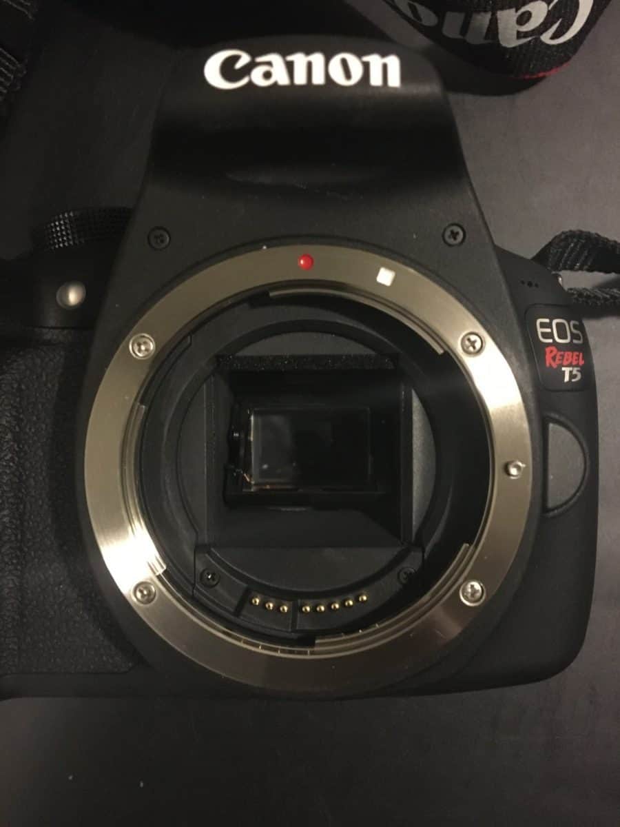 Microscope Camera: Setup and Tips – Microscope Clarity