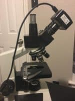 Microscope Camera: Setup and Tips – Microscope Clarity