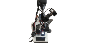 Microscope Camera: Setup and Tips – Microscope Clarity