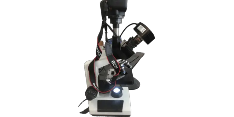 Microscope Camera: Setup and Tips – Microscope Clarity