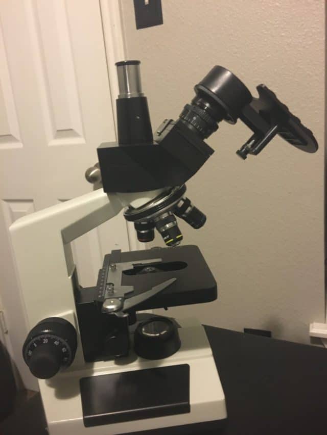 Microscope Camera: Setup and Tips – Microscope Clarity
