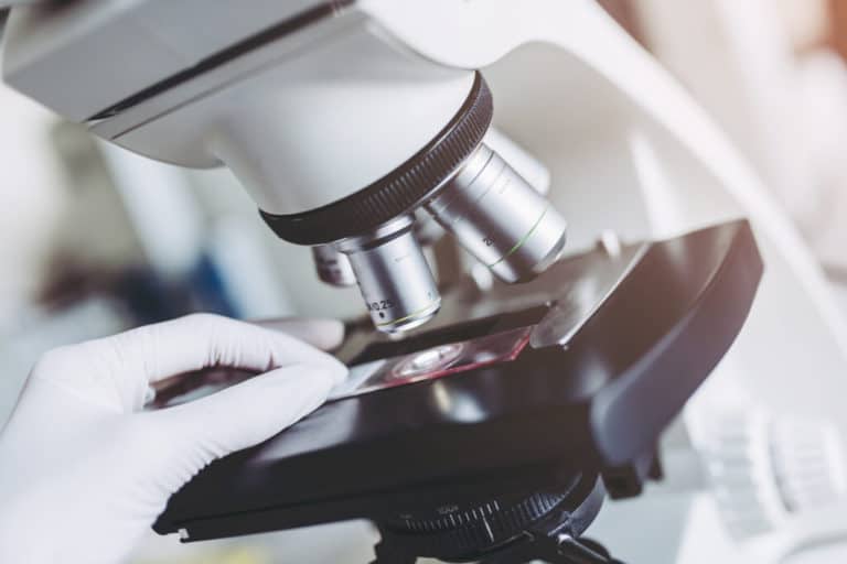 Jobs and Careers that Use Microscopes – Microscope Clarity